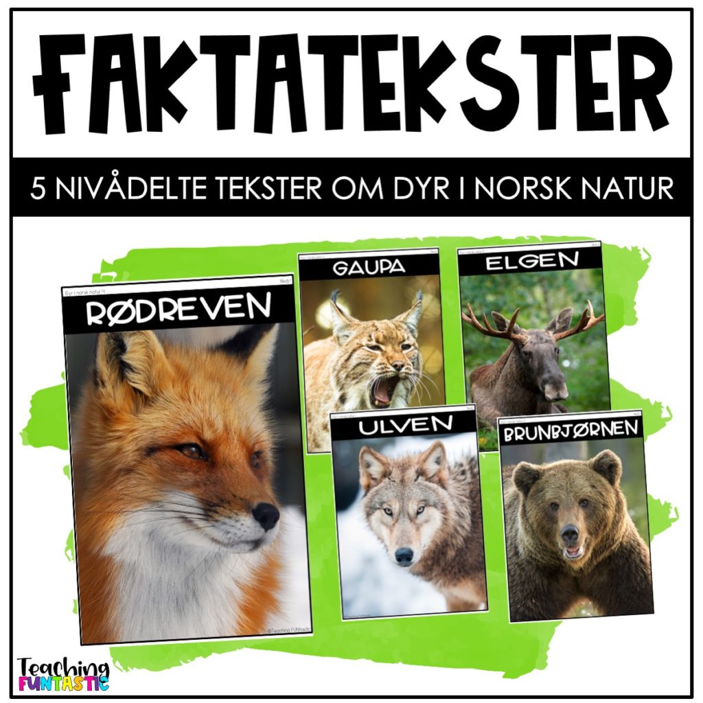 Leseforståelse Fakta - Dyr i norsk natur - Teaching Funtastic