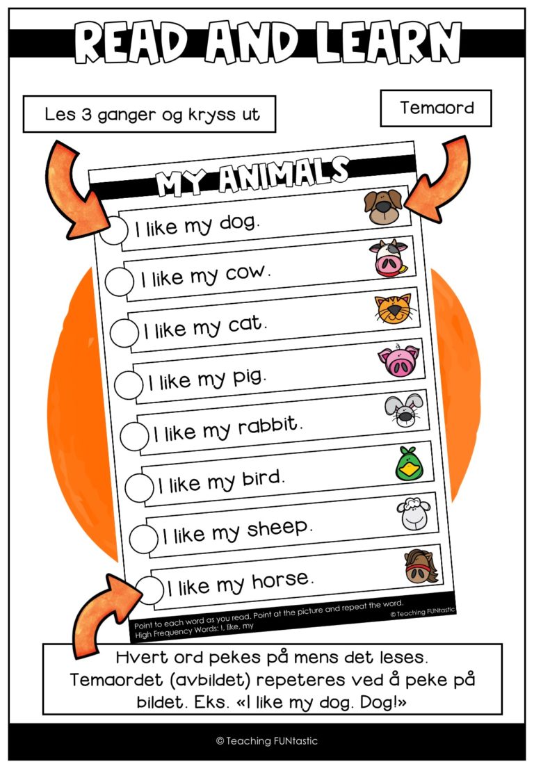 Engelsk Leseforståelse - Read and Colour 1 ‎| Teaching FUNtastic