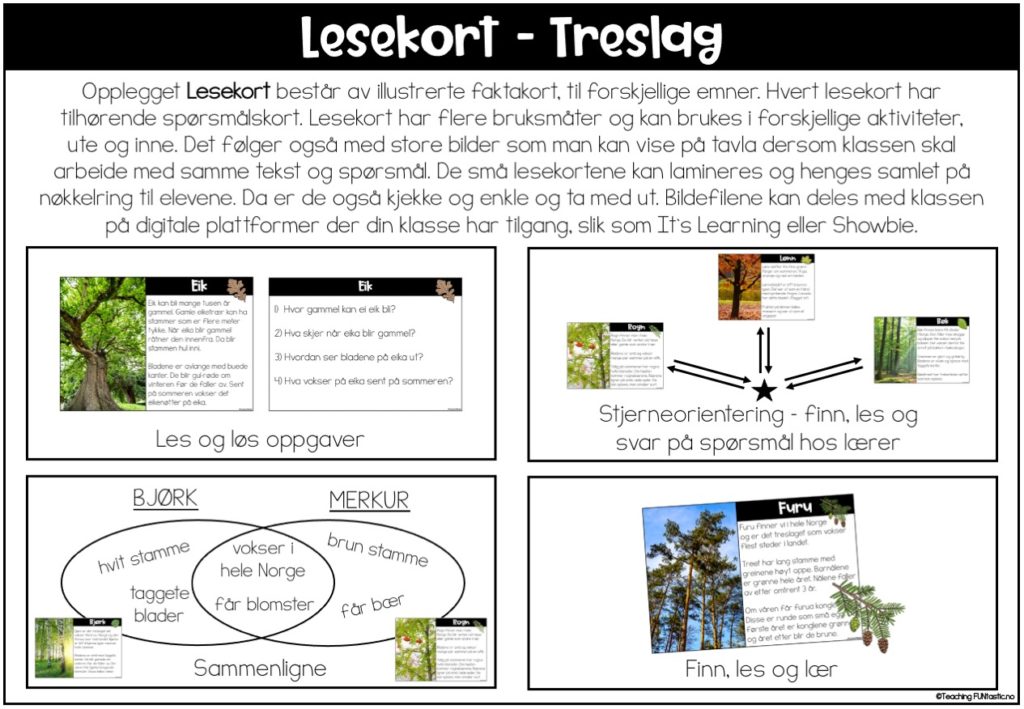Treslag - Les og lær med Faktakort ‎| Teaching FUNtastic