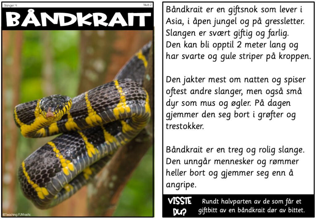 Nivådelte lesetekster - Faktatekster om Farlige slanger - Teaching ...