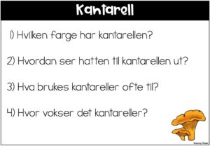 Ulike typer sopp - Les og lær med Faktakort ‎| Teaching FUNtastic