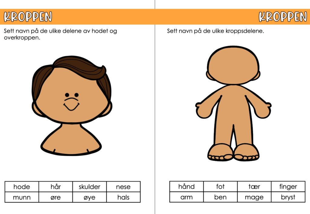 La oss lære norsk – Kroppen - Teaching Funtastic