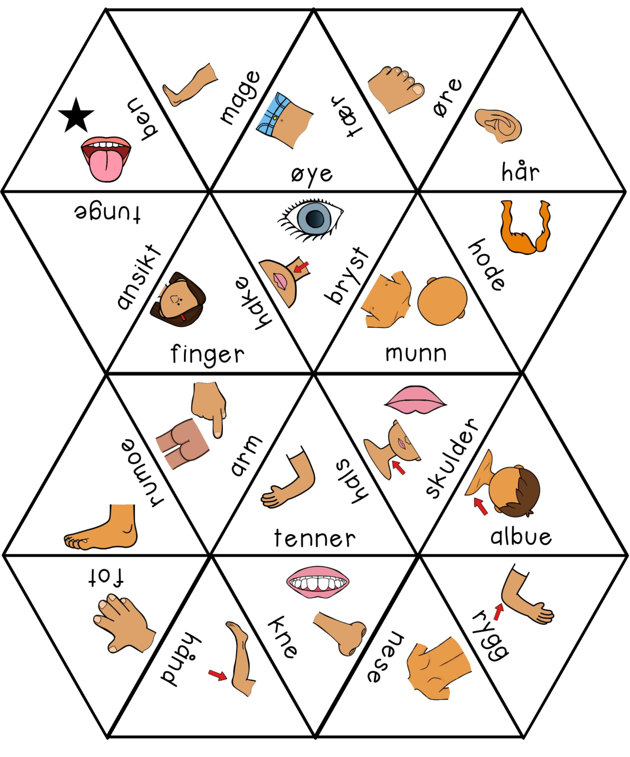La oss lære norsk – Kroppen - Teaching Funtastic