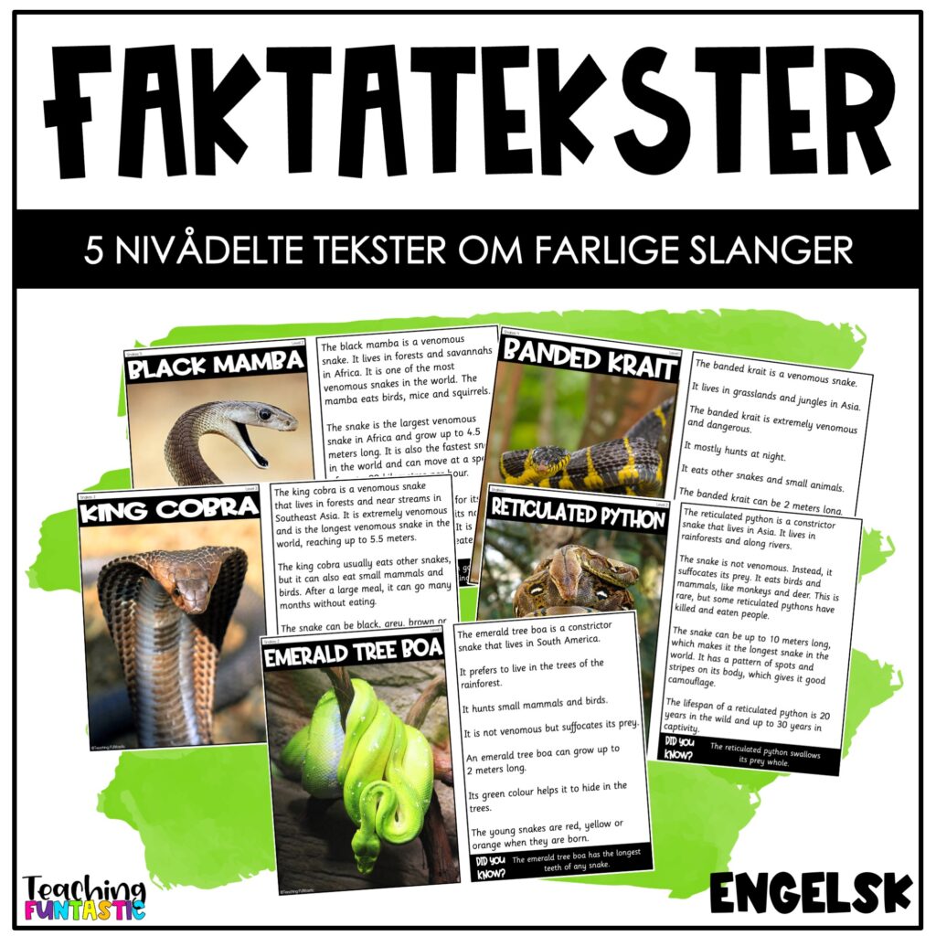 Forsider til elevbøker - Teaching Funtastic