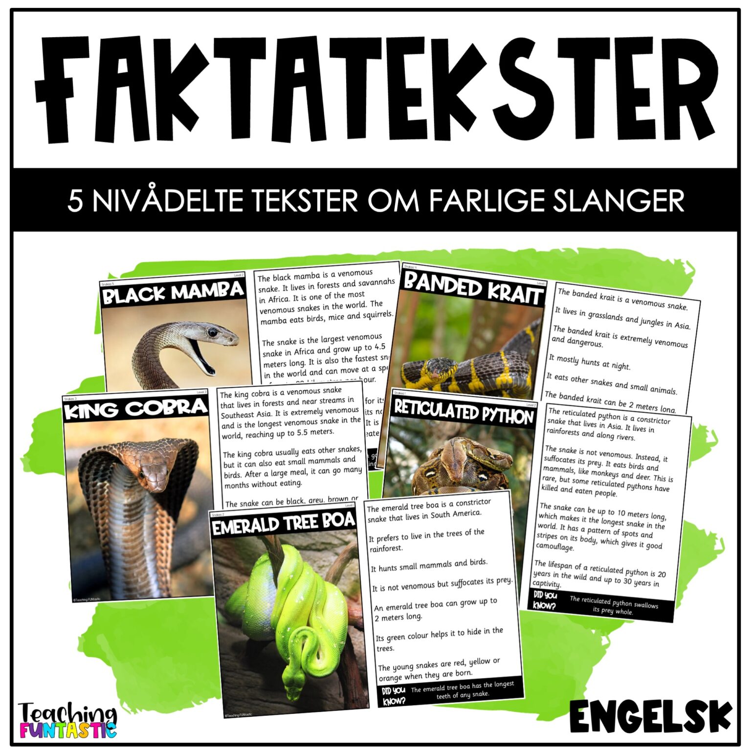 Forsider til elevbøker - Teaching Funtastic